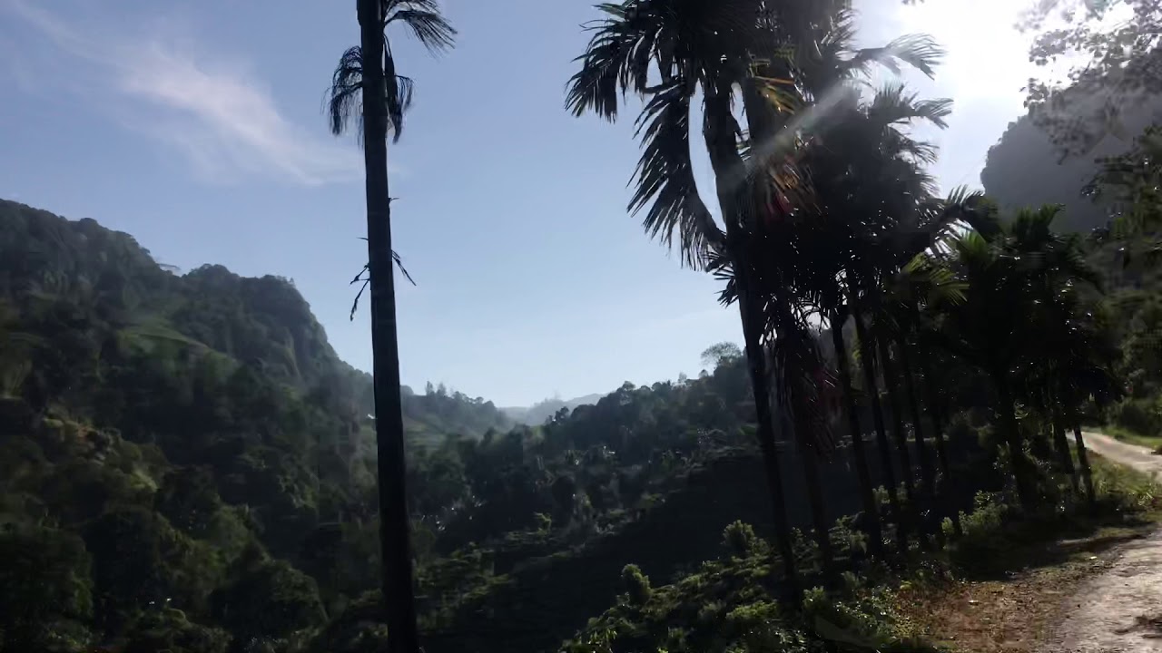 On the way to Dolosbage, Sri Lanka - Oxygen factory - YouTube