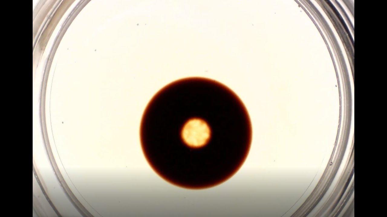 Repelling effect of GreenZyme Fluid additive on Crude Oil - YouTube