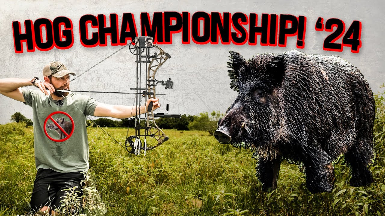 Archery Hog Hunting Tournament w/ Ranch Fairy!!! - YouTube