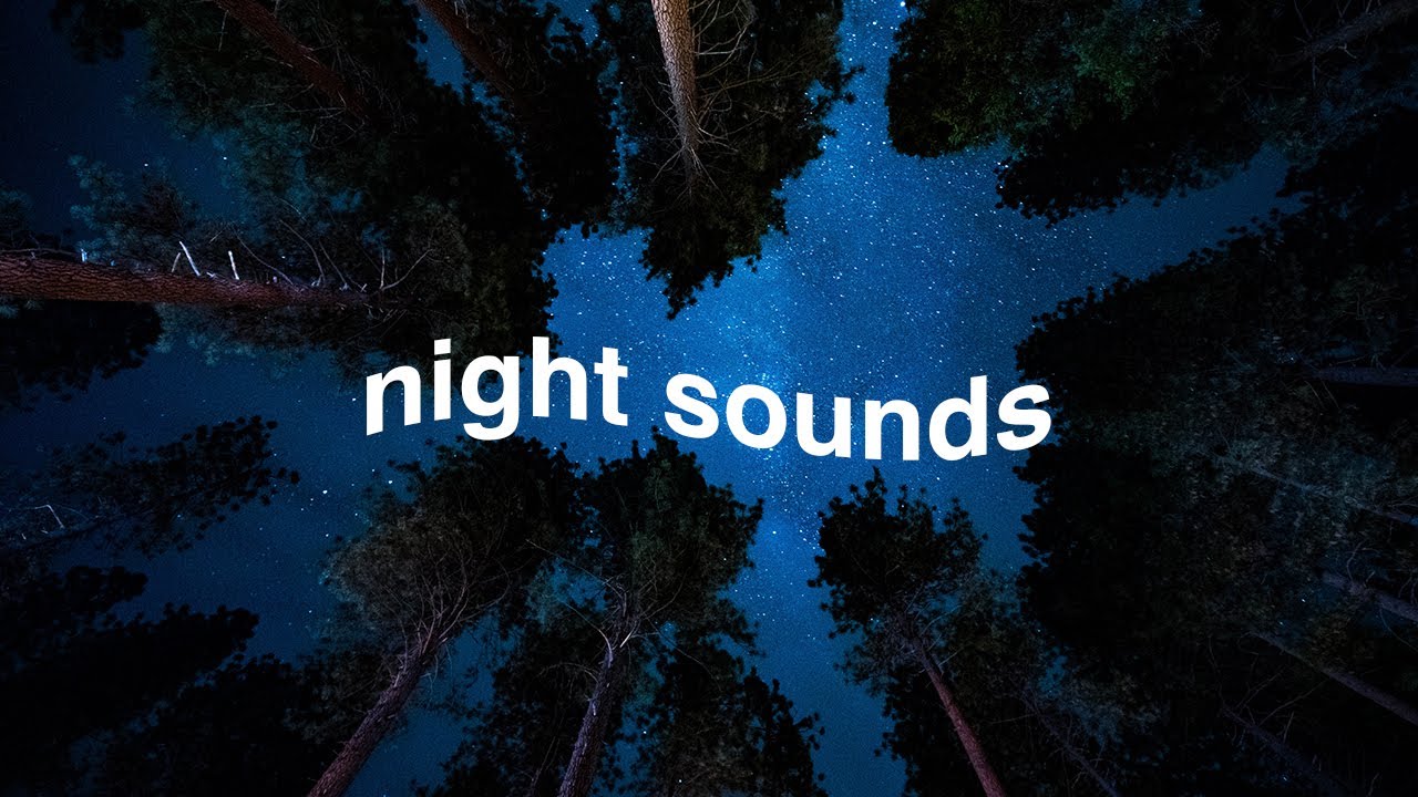 Night sounds for sleeping (water trickling) - natural sound therapy ...
