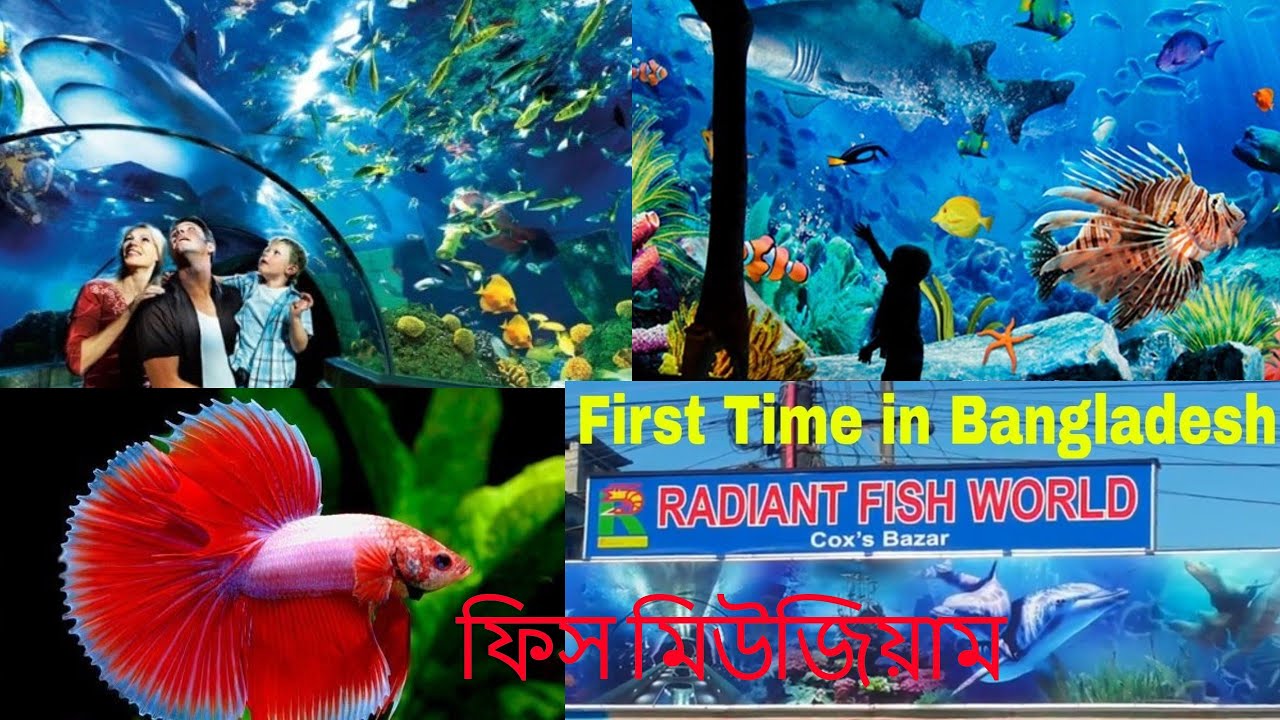Radiant Fish World Cox’s Bazar | রেডিয়েন্ট ফিস ওয়ার্ল্ড কক্সবাজার ...