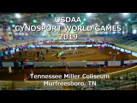 USDAA CYNOSPORT WORLD GAMES 2019 AMI