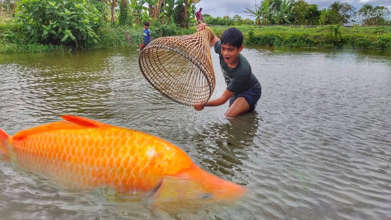 Best polo fishing video with small boy traditional polo fishing Big ...