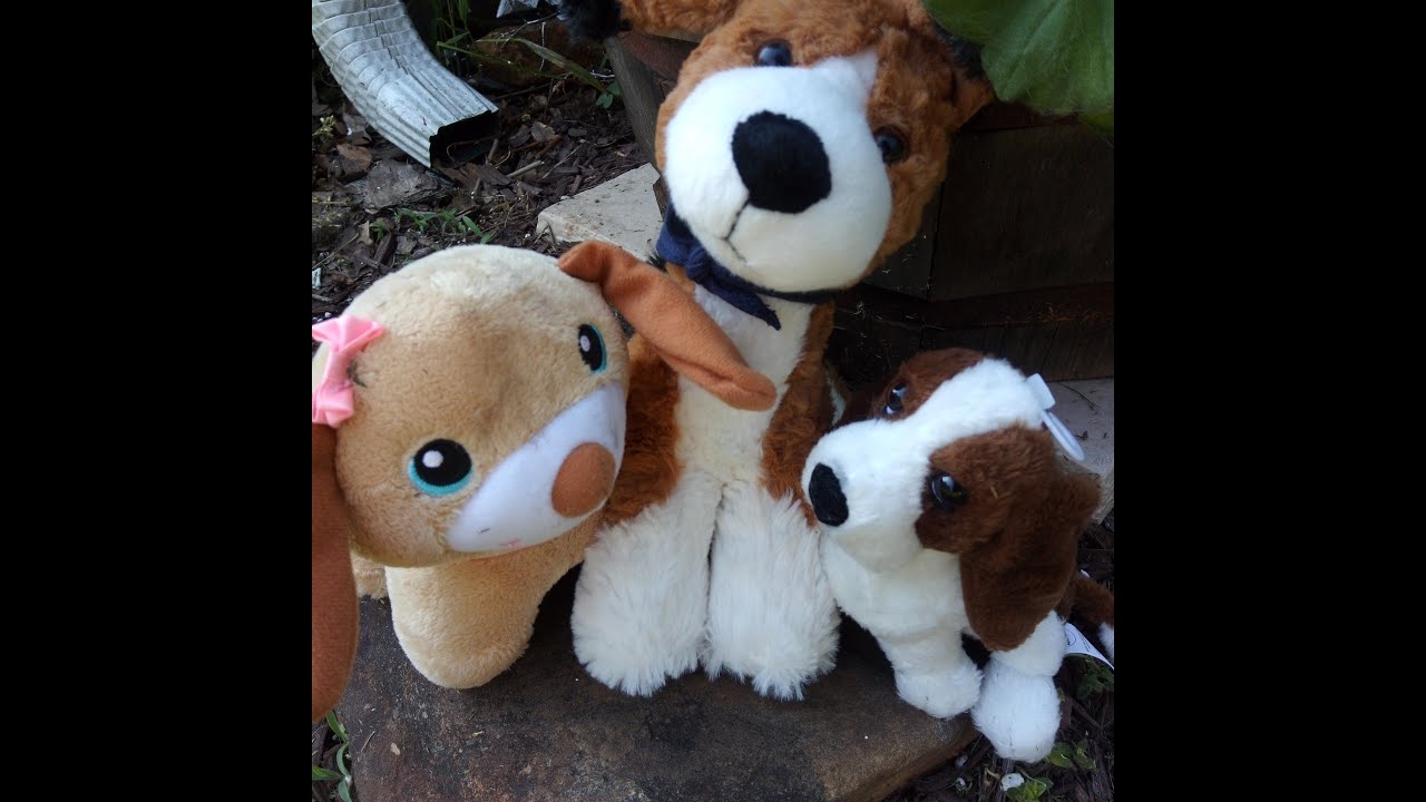 Jan Time for Kids! Doggies! Join Jan and the puppy-dog crew for some ...