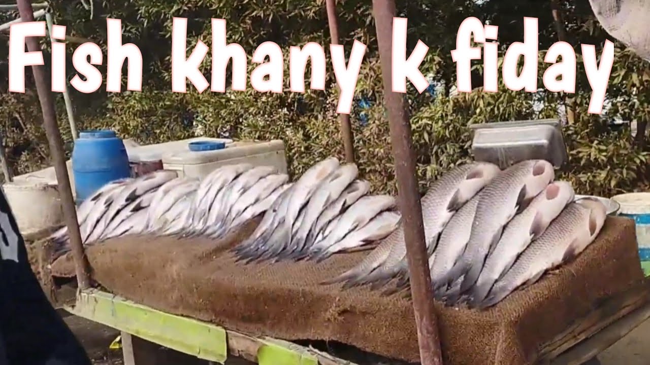 Fish khany k Banifits 🐠 Fish Kasi banti ha yammy vlog - YouTube