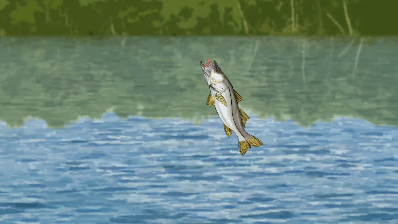 SHARK - Cardume de Tubarões - INSCREVA-SE NO MEU CANAL - YouTube