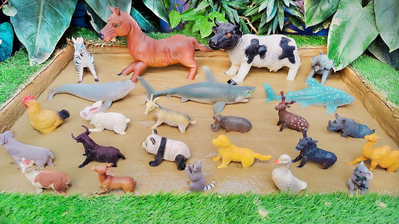 FARM & SEA Expedition: Muddy Adventure' Farm Animals and Sea Animals in ...