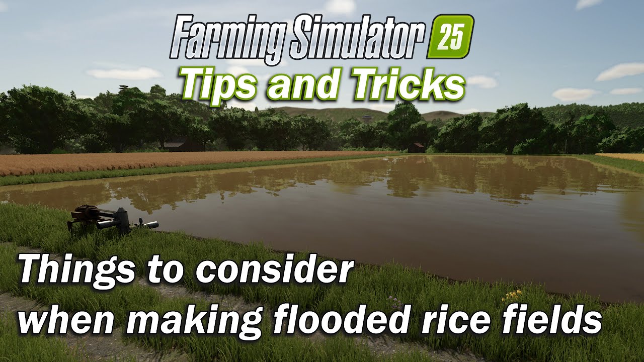 Farm Sim 25 Tips & Tricks | Creating Rice Fields - YouTube