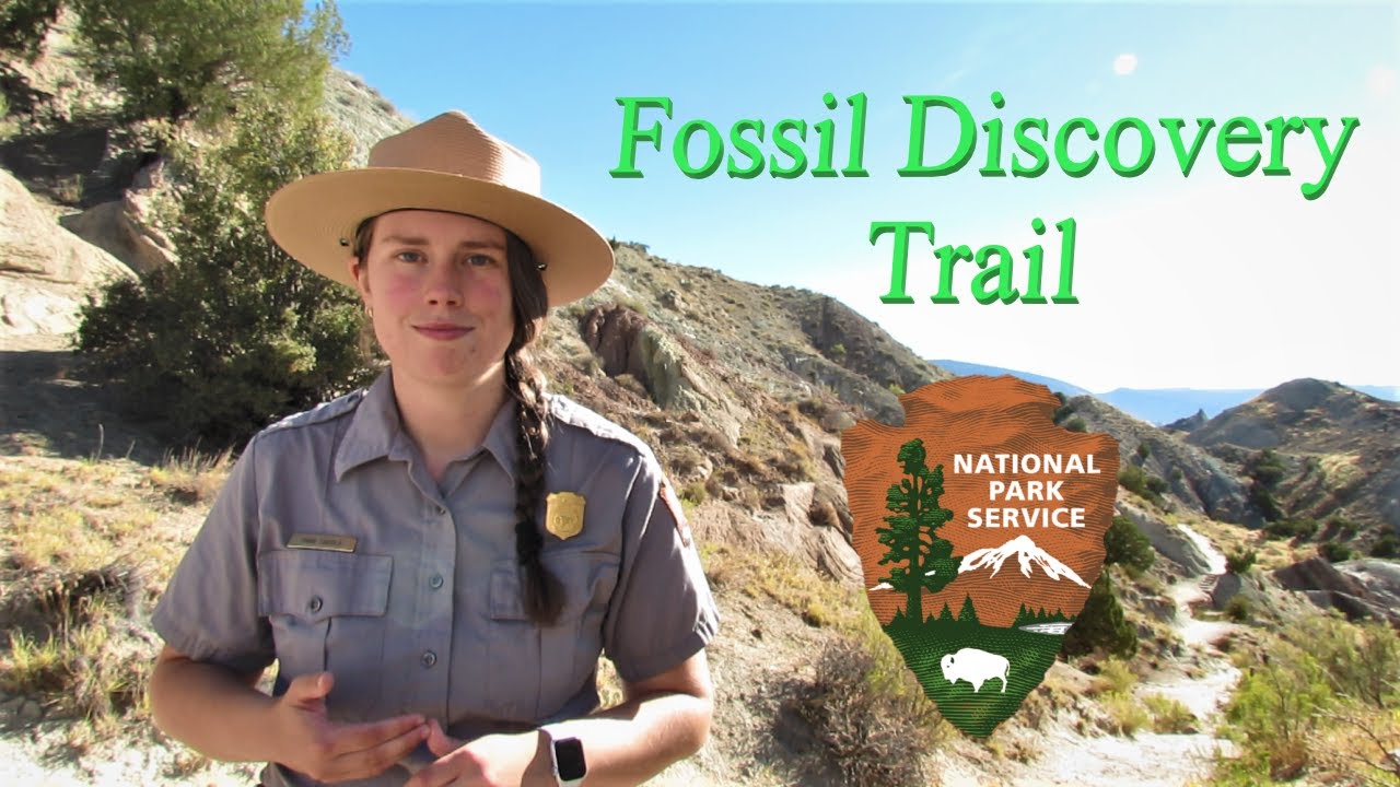 Virtual Hikes: Fossil Discovery Trail | Dinosaur National Monument ...