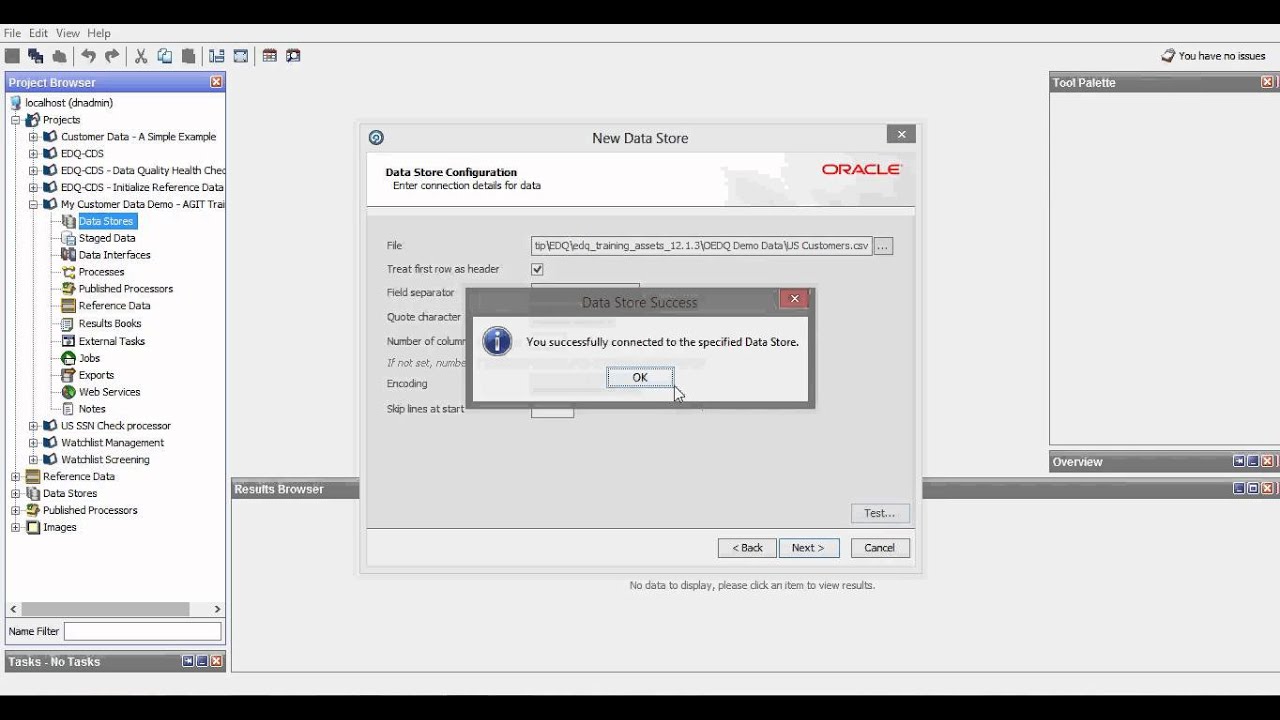 Oracle EDQ Fundamental - Import Data - YouTube