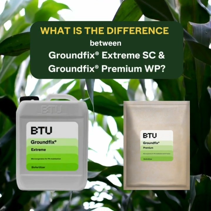Field Effectiveness Trials Groundfix Premium vs Groundfix Extreme - YouTube