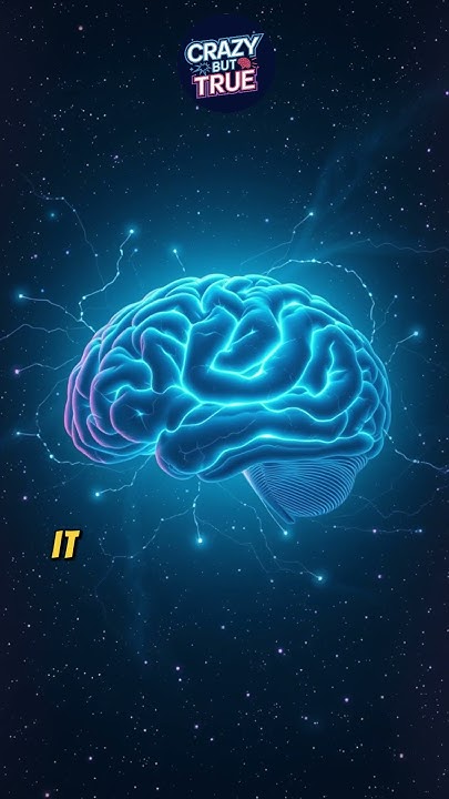 Your Brain Works Harder While You Sleep 😴 - YouTube