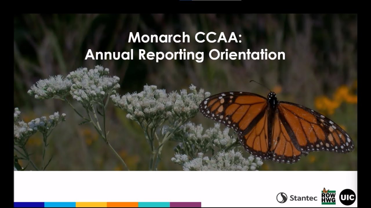 Monarch CCAA Annual Reporting Orientation - Updated December 2023 - YouTube