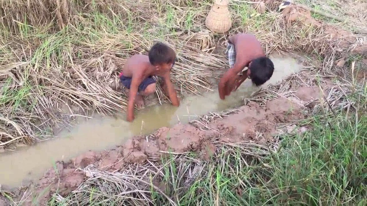 Brave Children Find And Catch Snake In Hole How To Catch Snake In ...