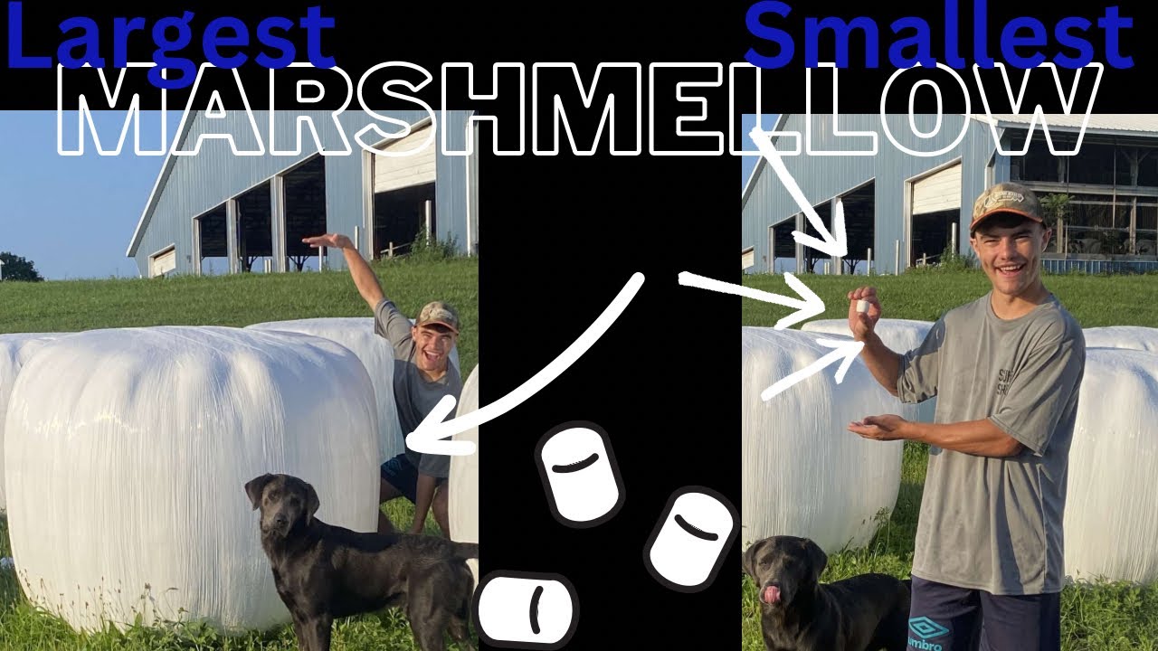 Are we a Marshmallow farm? - YouTube