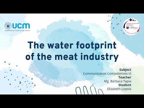The water footprint of the meat industry - YouTube