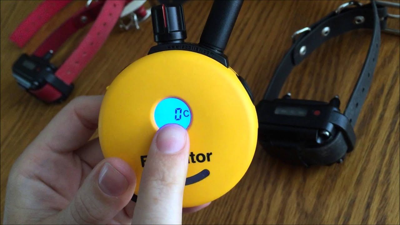 How An E-Collar Works | Educator Mini Set Up Guide | Dog Training ...