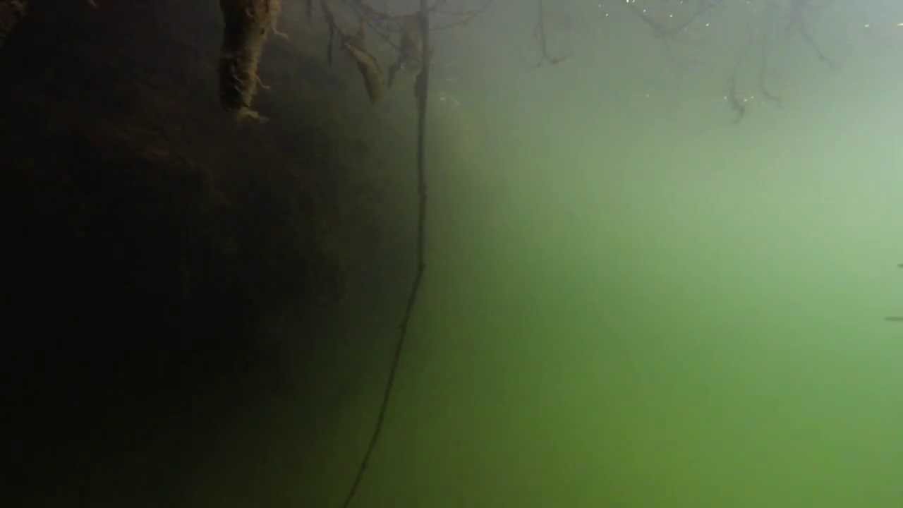 Selwyn River, NZ - YouTube