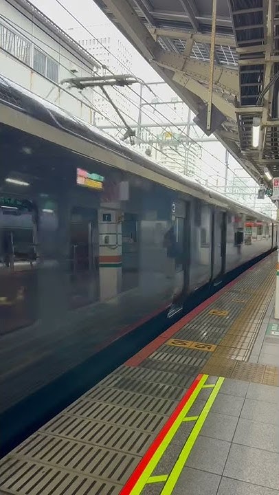 E261系 JR東日本 特急 サフィール踊り子 Limited express saphir ODORIKO - YouTube