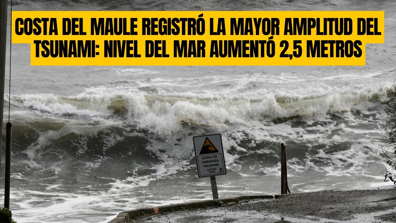 Costa del Maule registró la MAYOR AMPLITUD del TSUNAMI: Nivel del mar ...