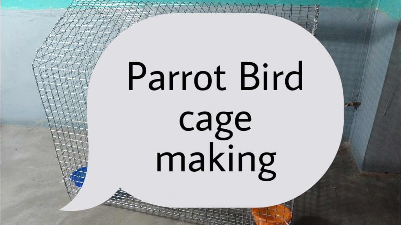 Parrot cage making/how to make parrot Bird cage at home/ - YouTube