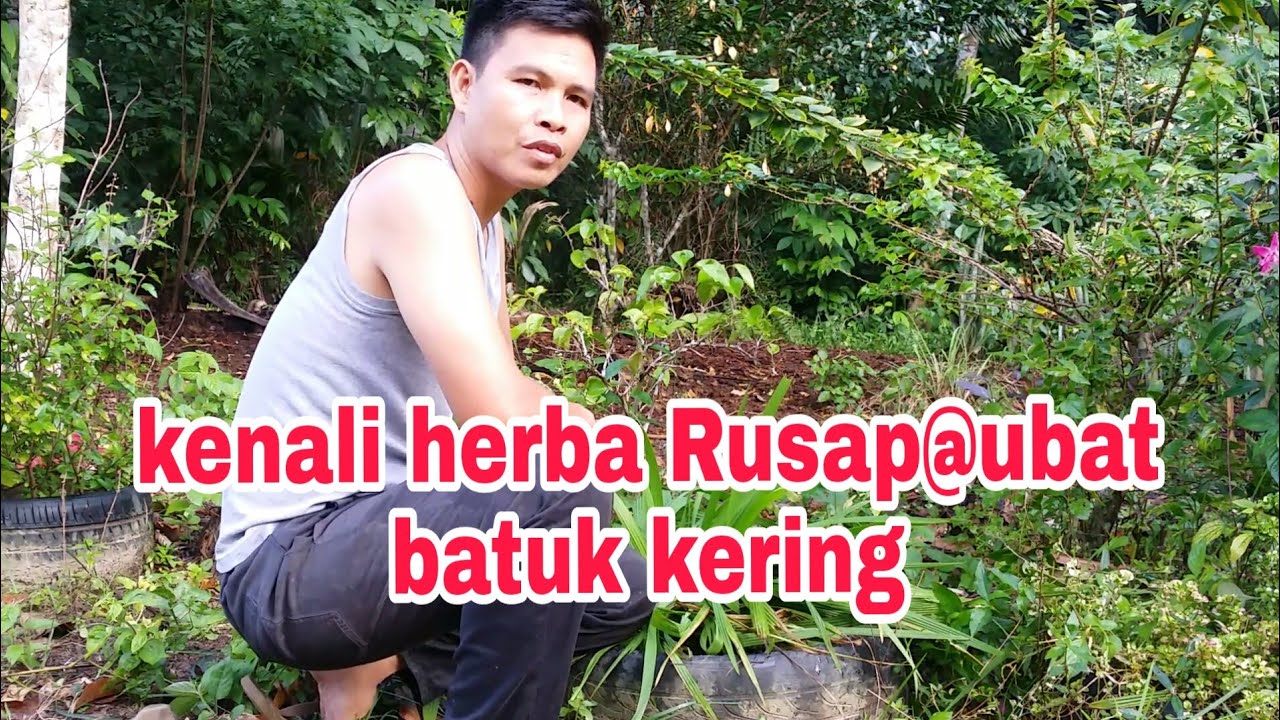 Kenali ubat@Rusap batuk kering - YouTube