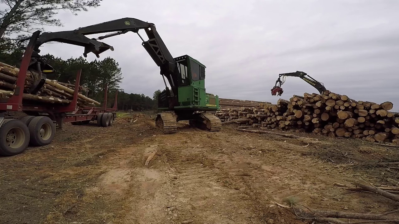 Logging- this video is bad to the bone! - YouTube