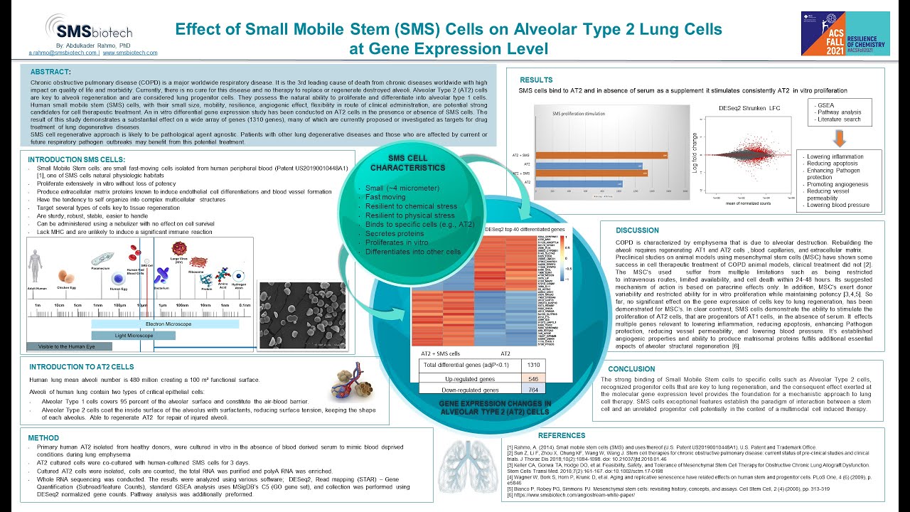 ACS Fall 2021 Poster Presentation by SMSbiotech - YouTube