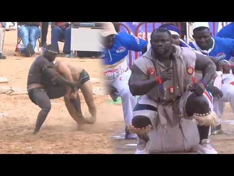 Combat Wouly vs Songo Tine et Eumeu Sene délouwatt na thiossane Ndiouk bou saff té saff way