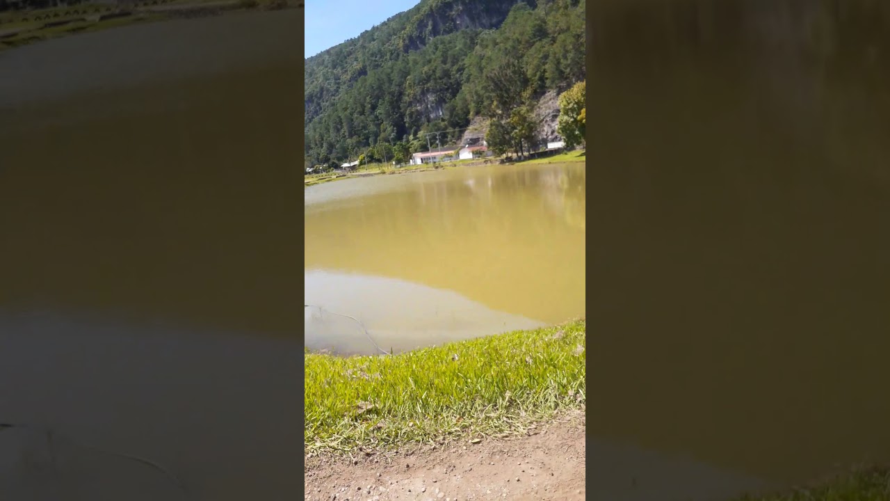 Valle verde - YouTube