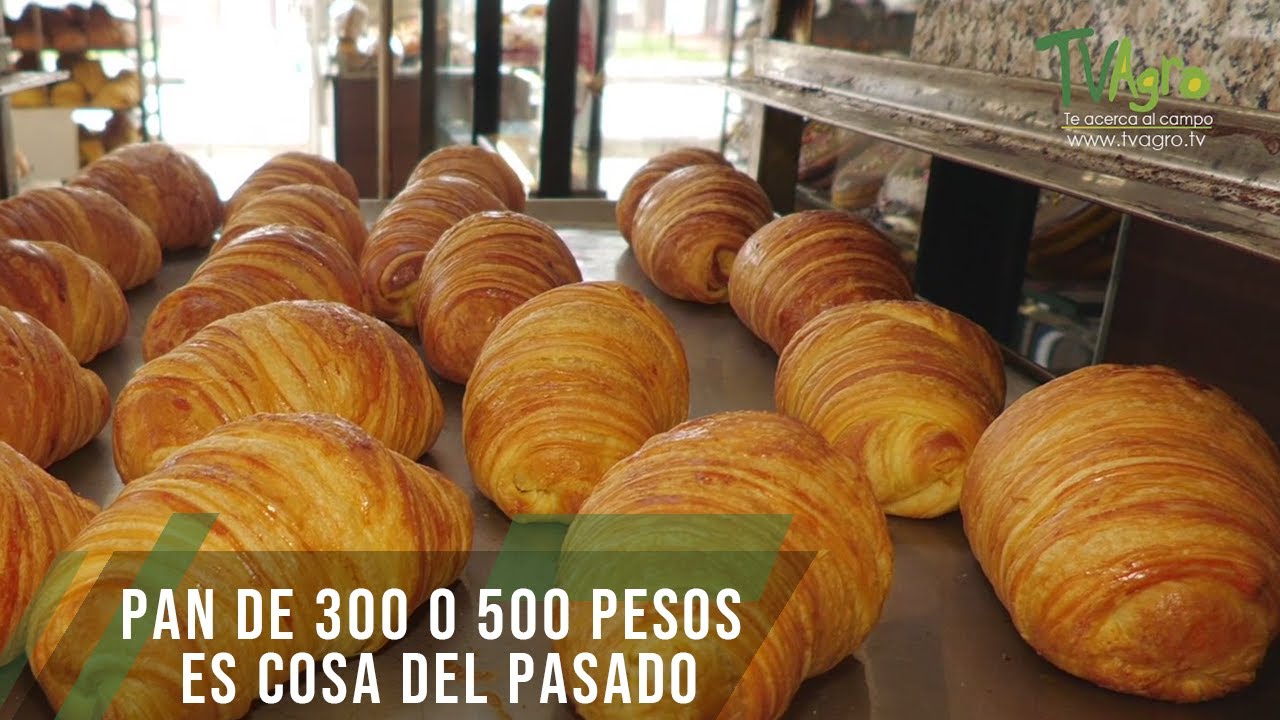 Pan de 300 o 500 pesos es cosa del pasado- TvAgro por Juan Gonzalo ...