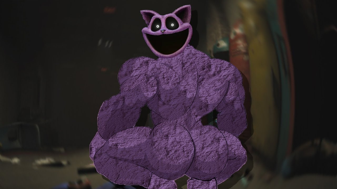 Gato Morado (SPG) - YouTube