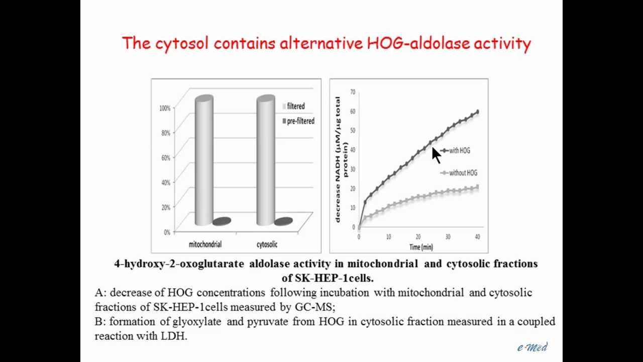 Primary hyperoxaluria type III: A new kidney stone disease, the gene ...