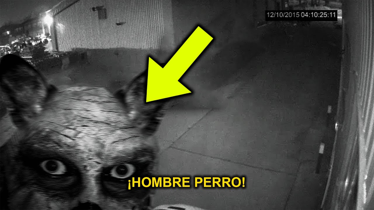 🐶 Durmió con su PERRO y se volvió PERRO #miedo #terror #MrTops2001 ...