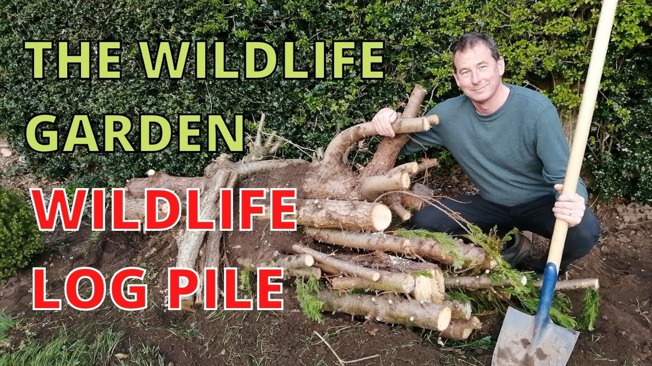 How to make a log pile for wildlife. - YouTube