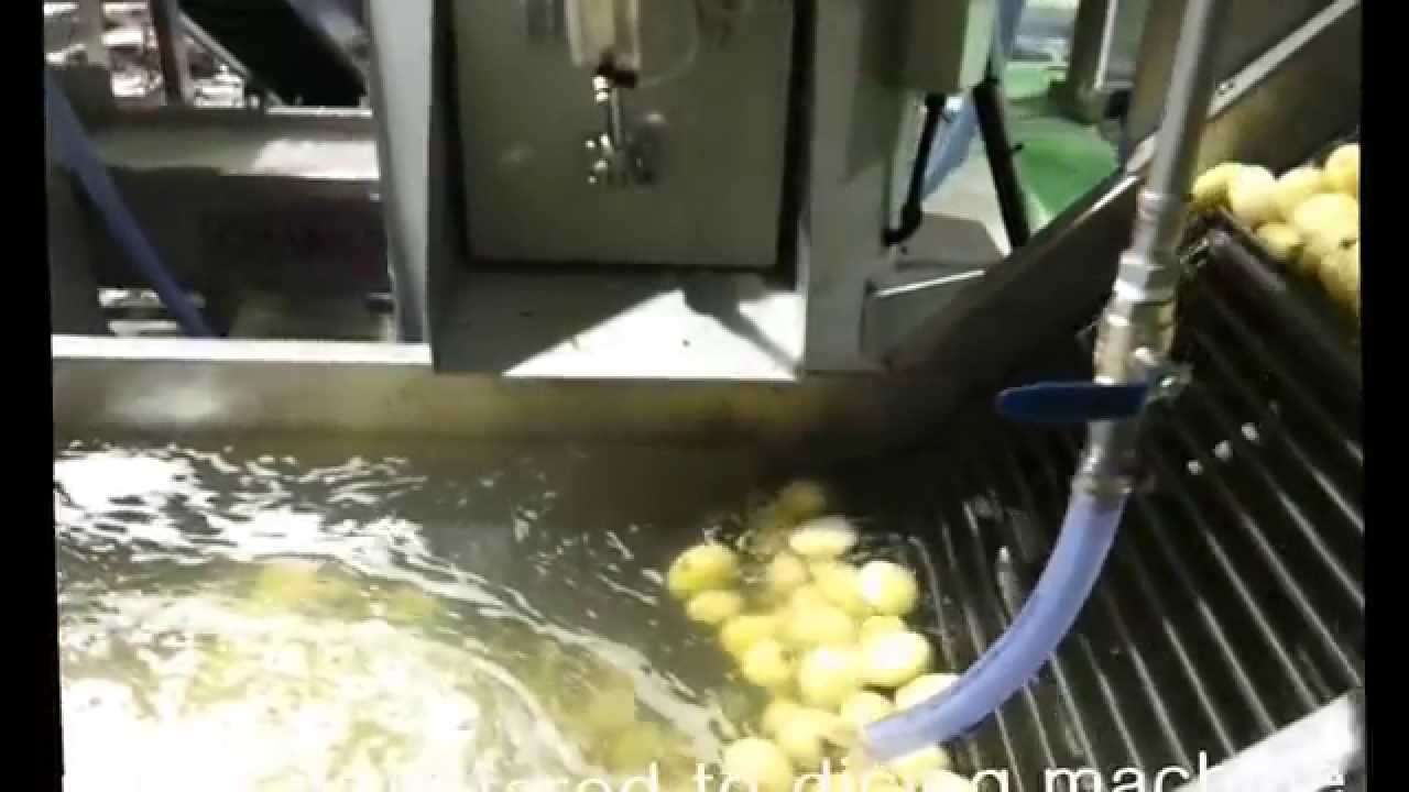 Potato Processing Line ENG - YouTube