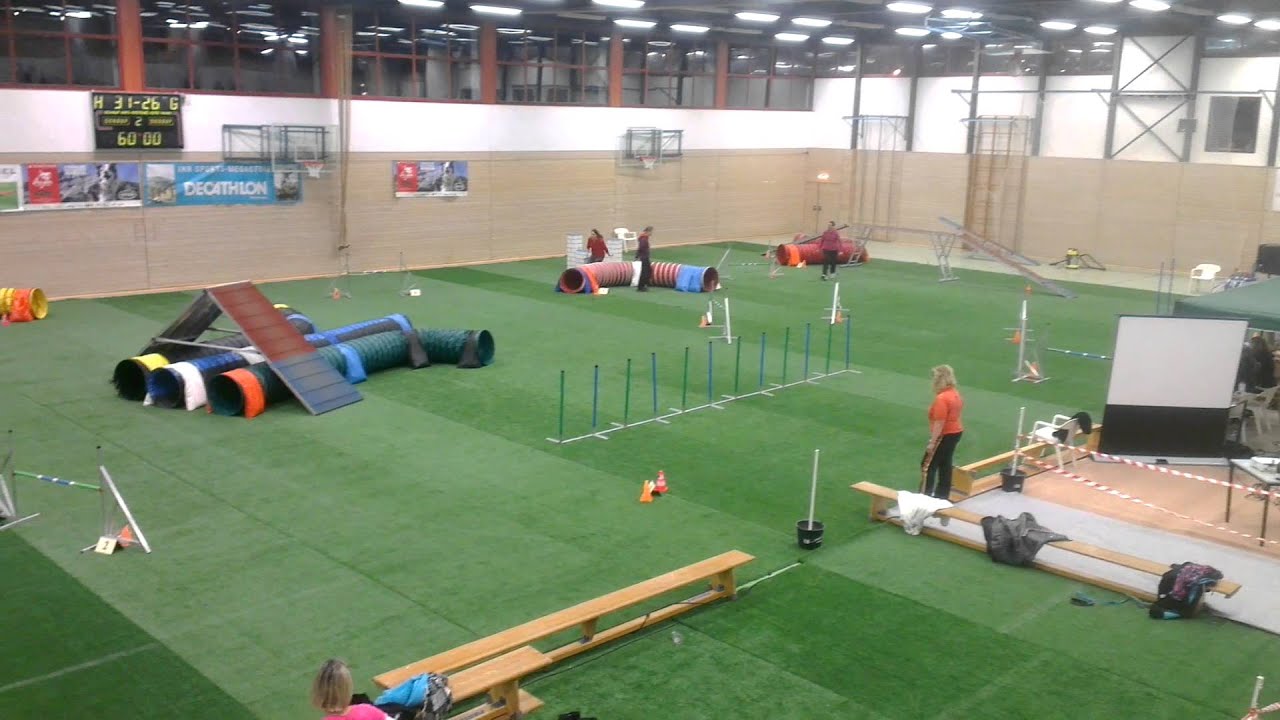 23 02 2013 Finale Decathlon Agility ChallengeFLYmeToTheSun - YouTube