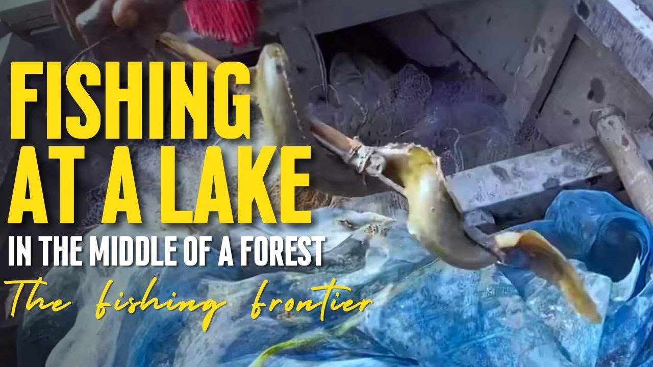 Fishing Adventure: Exploring a Remote Lake in the Heart of the Forest ...