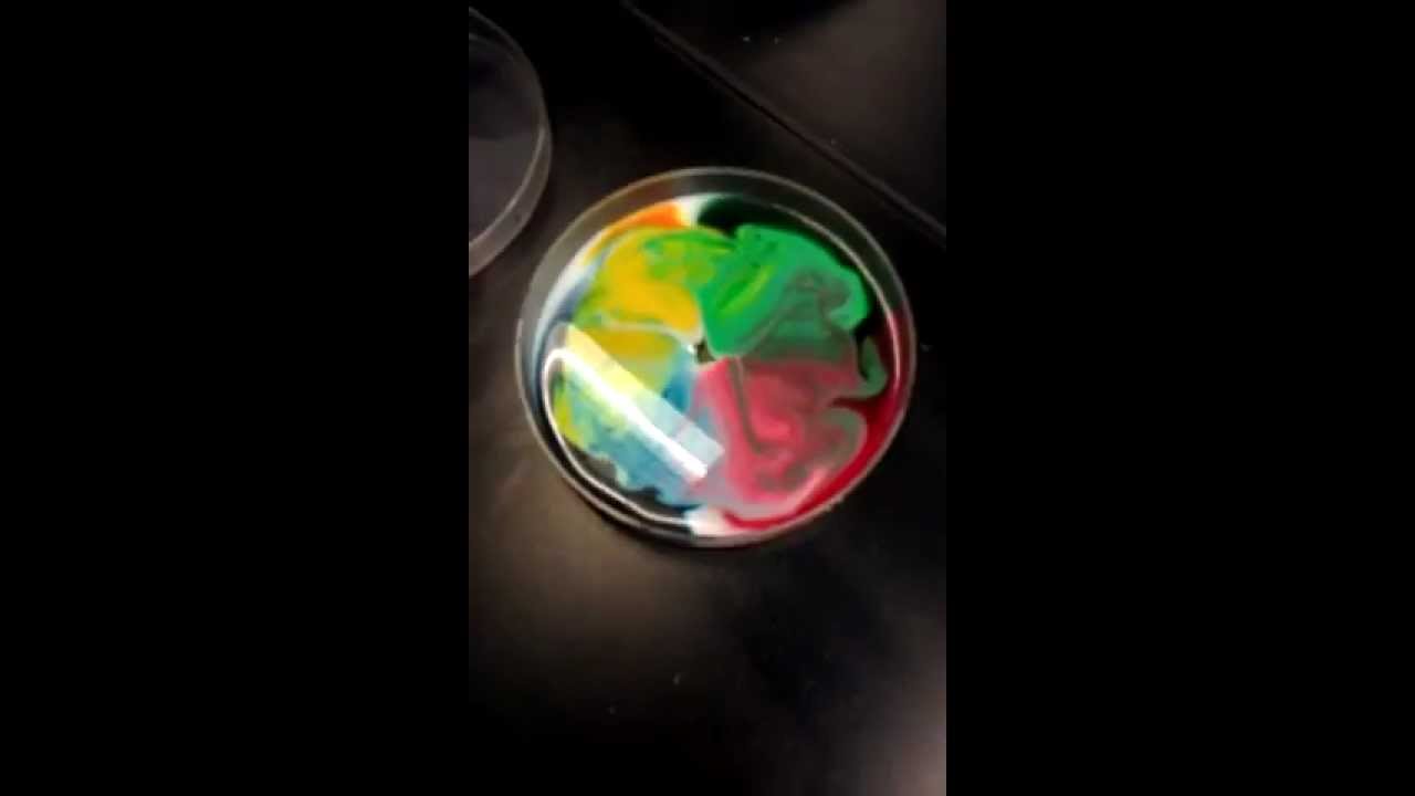 Polarity Experiment - YouTube
