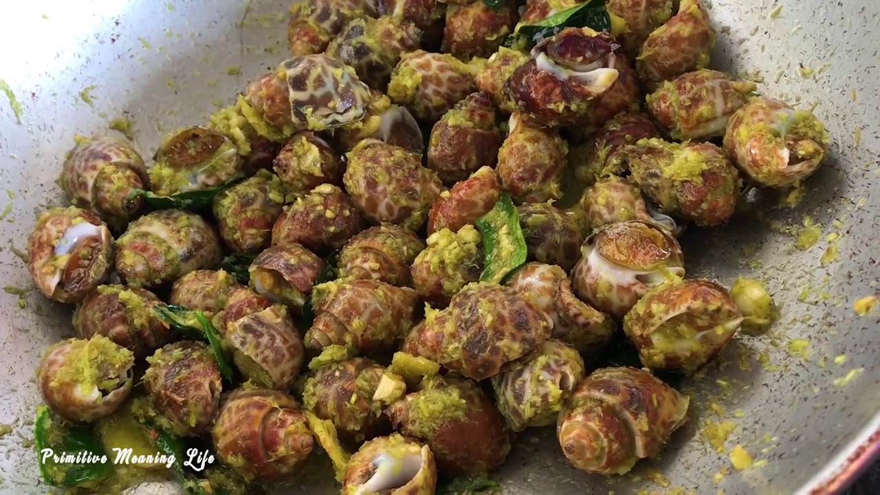 NATURE LOVE- Yummy cooking sea snail recipe - Sea Snails Eating ...