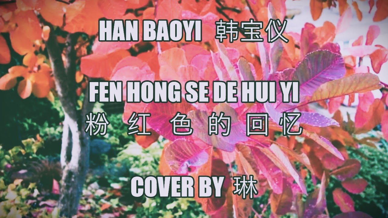Han Baoyi 韩宝仪 Fen Hong Se De Hui Yi 粉红色的回忆 Cover by 琳 - YouTube