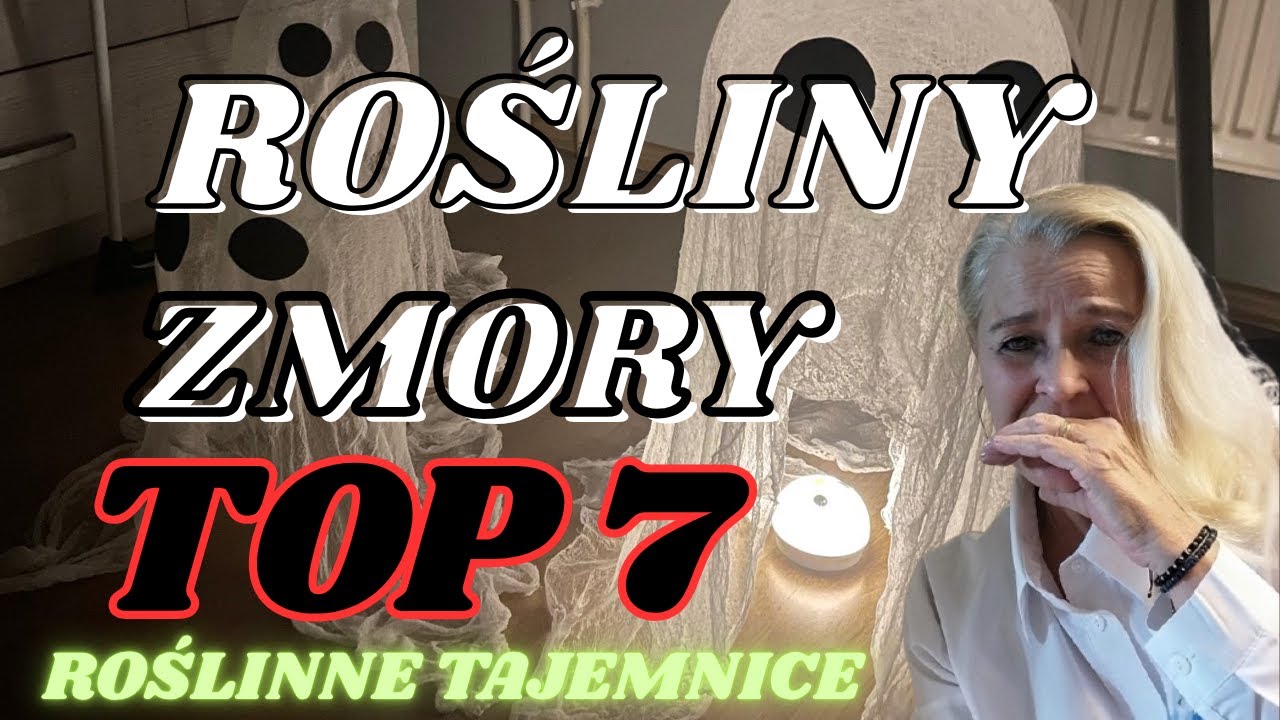 ROŚLINY ZMORY-DLACZEGO? - YouTube