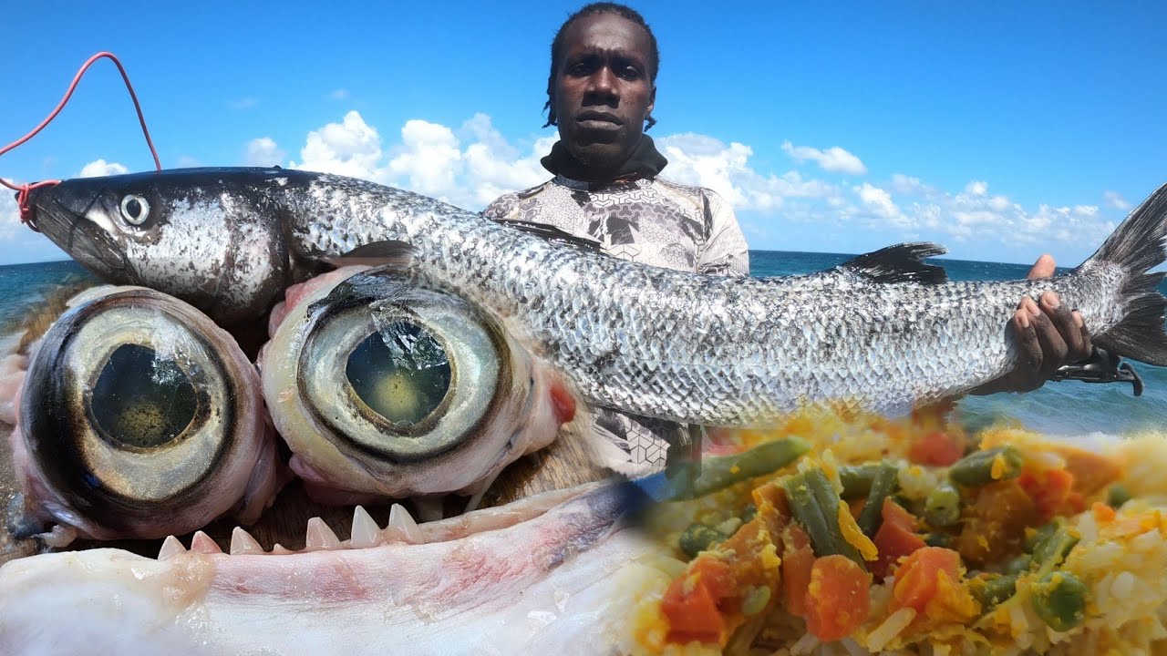 GIANT BARRACUDA CATCH CLEAN COOK CURRY BARRACUDA HEAD WITH PUMPKIN MIX ...