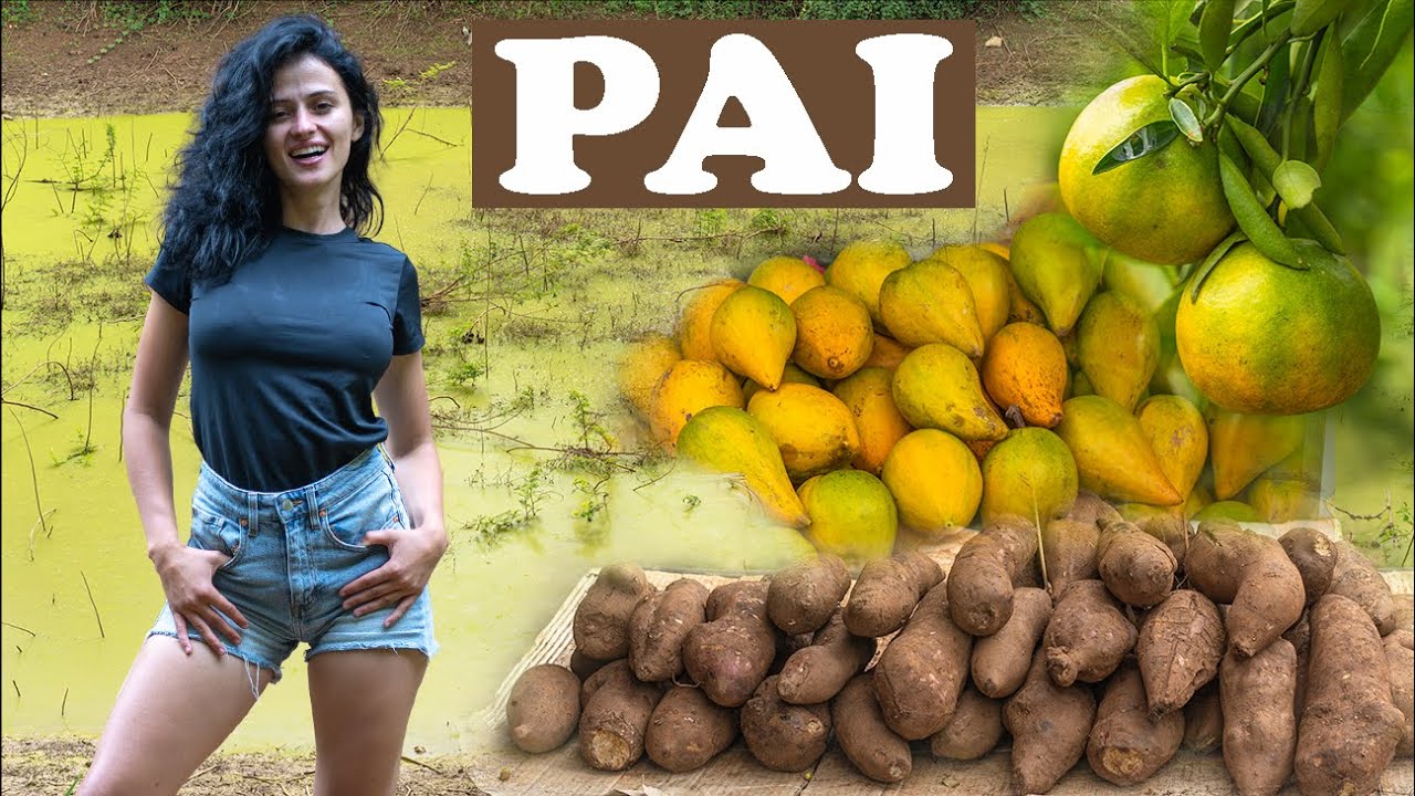 Pai to Nam Lod cave: must do trip in Pai, Thailand! New strange fruits ...
