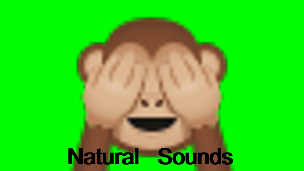 Gabon Monkey Sound, Natural animal sounds effects - YouTube