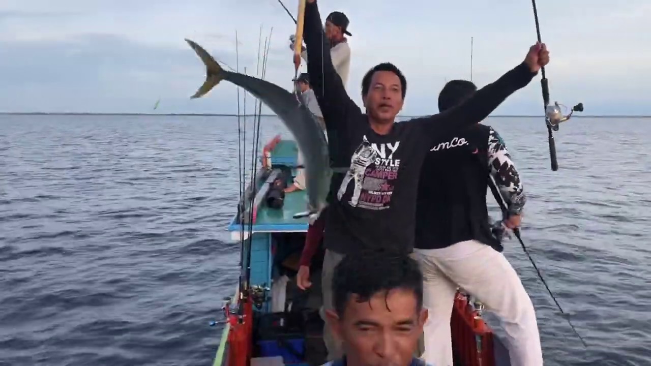 Mancing mania “ strike sail fish /layaran 30 kg up “ - YouTube