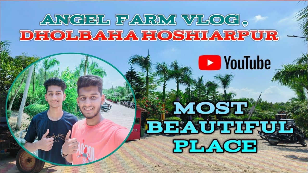 Angel Farm Vlog || Best Luxury Farm In Dholbaha Road Hoshiarpur || Only ...