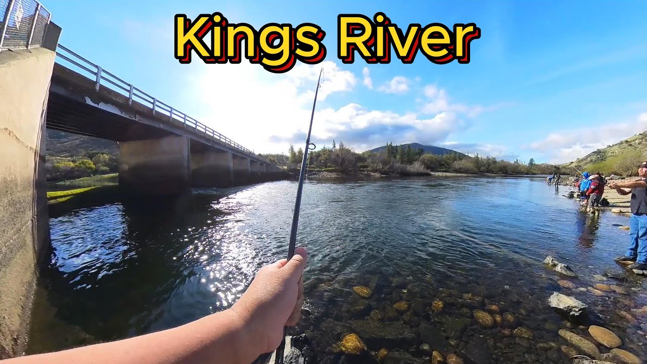 Kings River Trout Fishing - YouTube