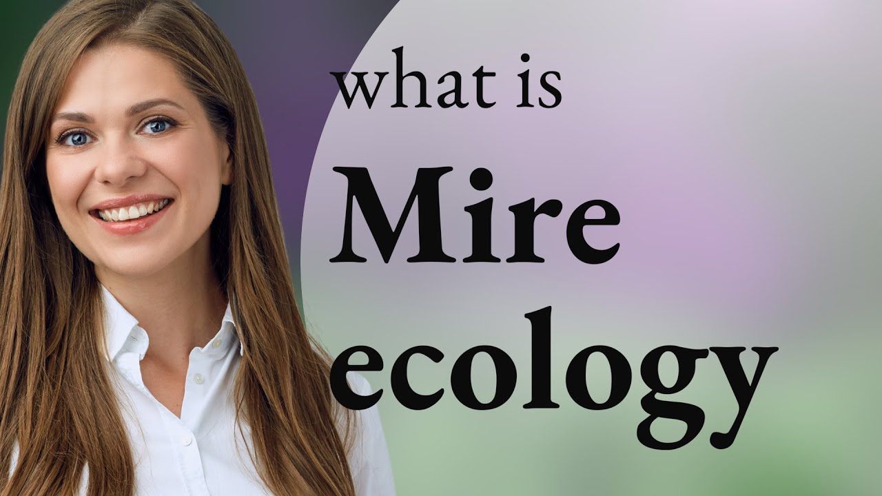 Understanding "Mire Ecology": An English Learning Guide - YouTube