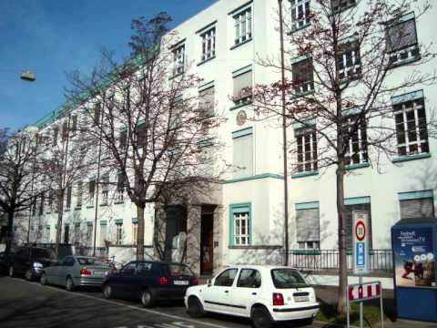 Institutional dysfunction at the University of Basel, Part 5 of 6 - YouTube